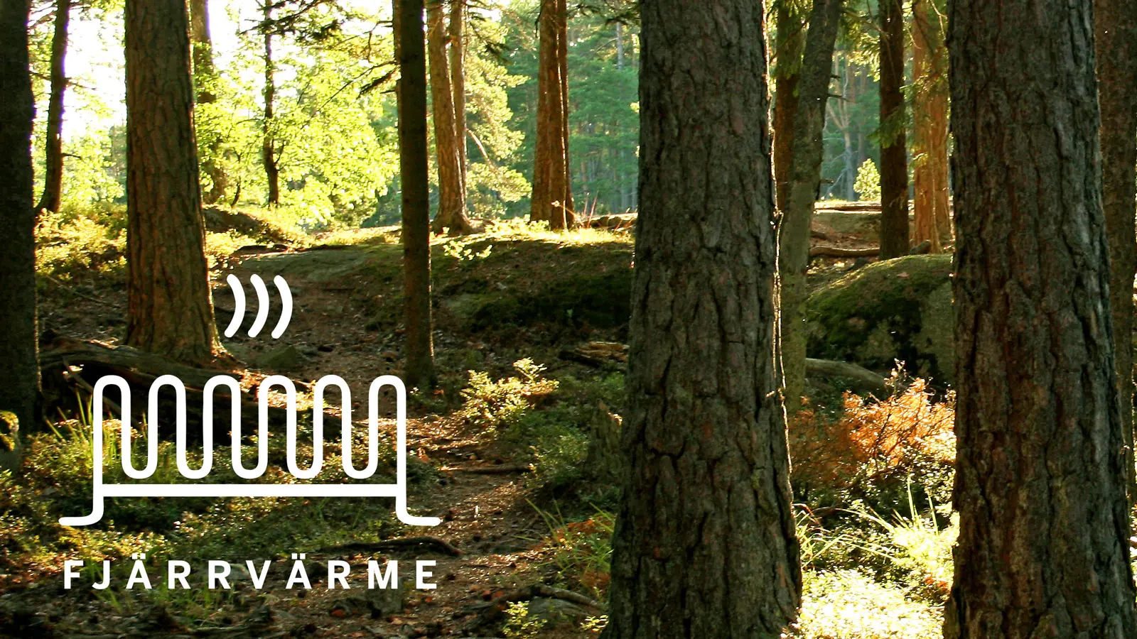 Ledningsgrupp | Nässjö Affärsverk